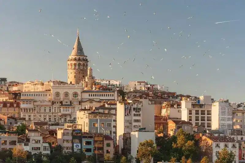 Guide: Programs & Universities in Turkey | Guide 2026